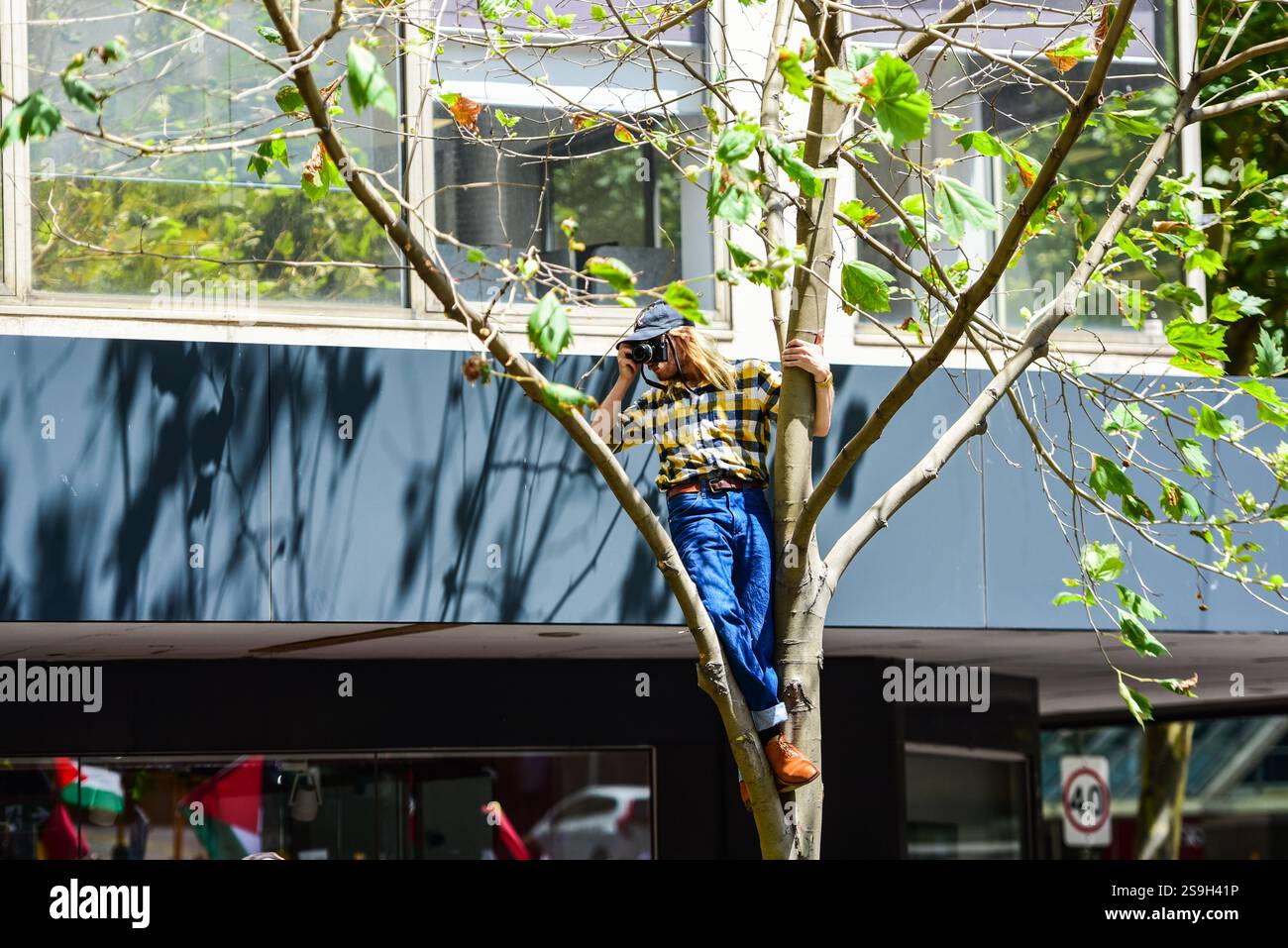 A protester is seen with a camera atop a tree branch during "Invasion ...