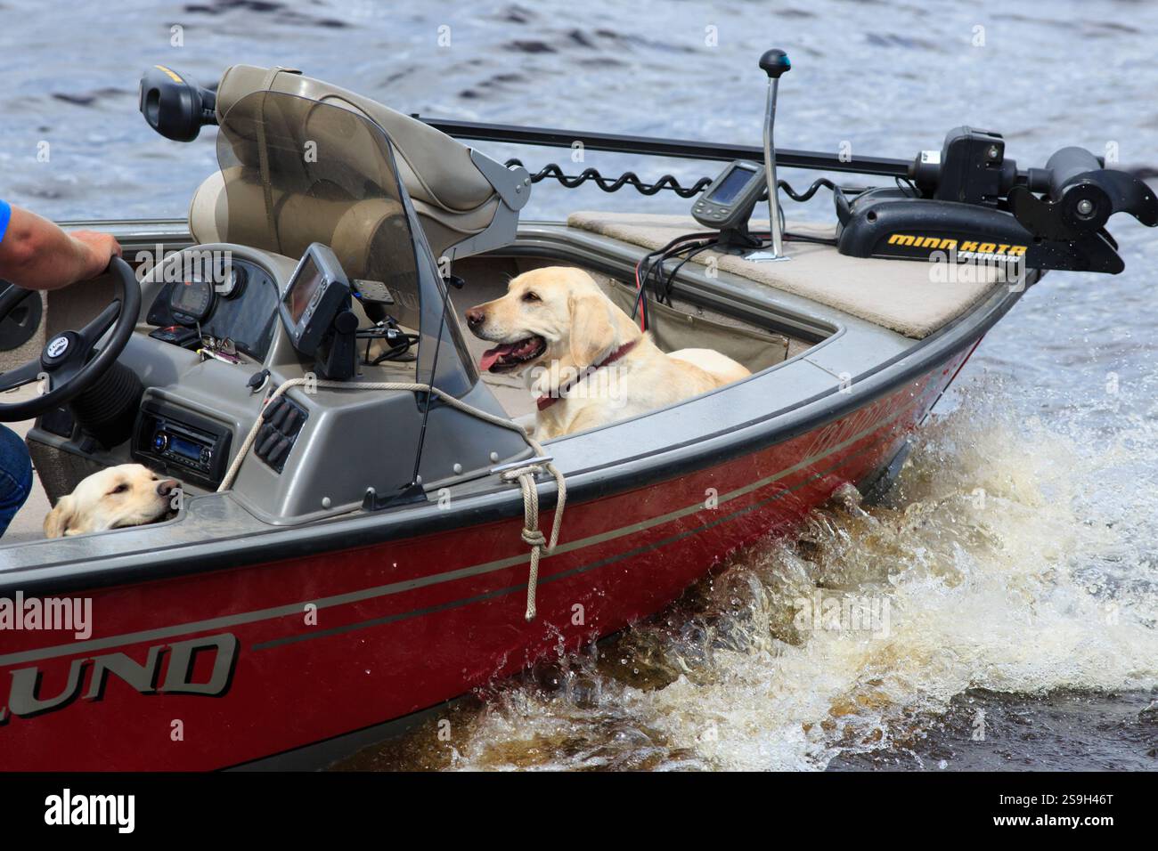 Two dogs enjoy a boat ride on Lake Superior during the Tall Ships ...