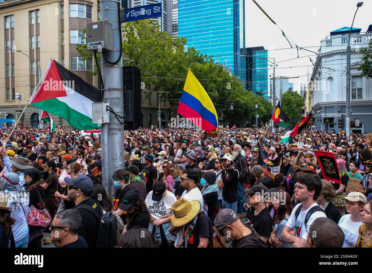Flags fly above crowd gathered in front of Parliament of Victoria ...