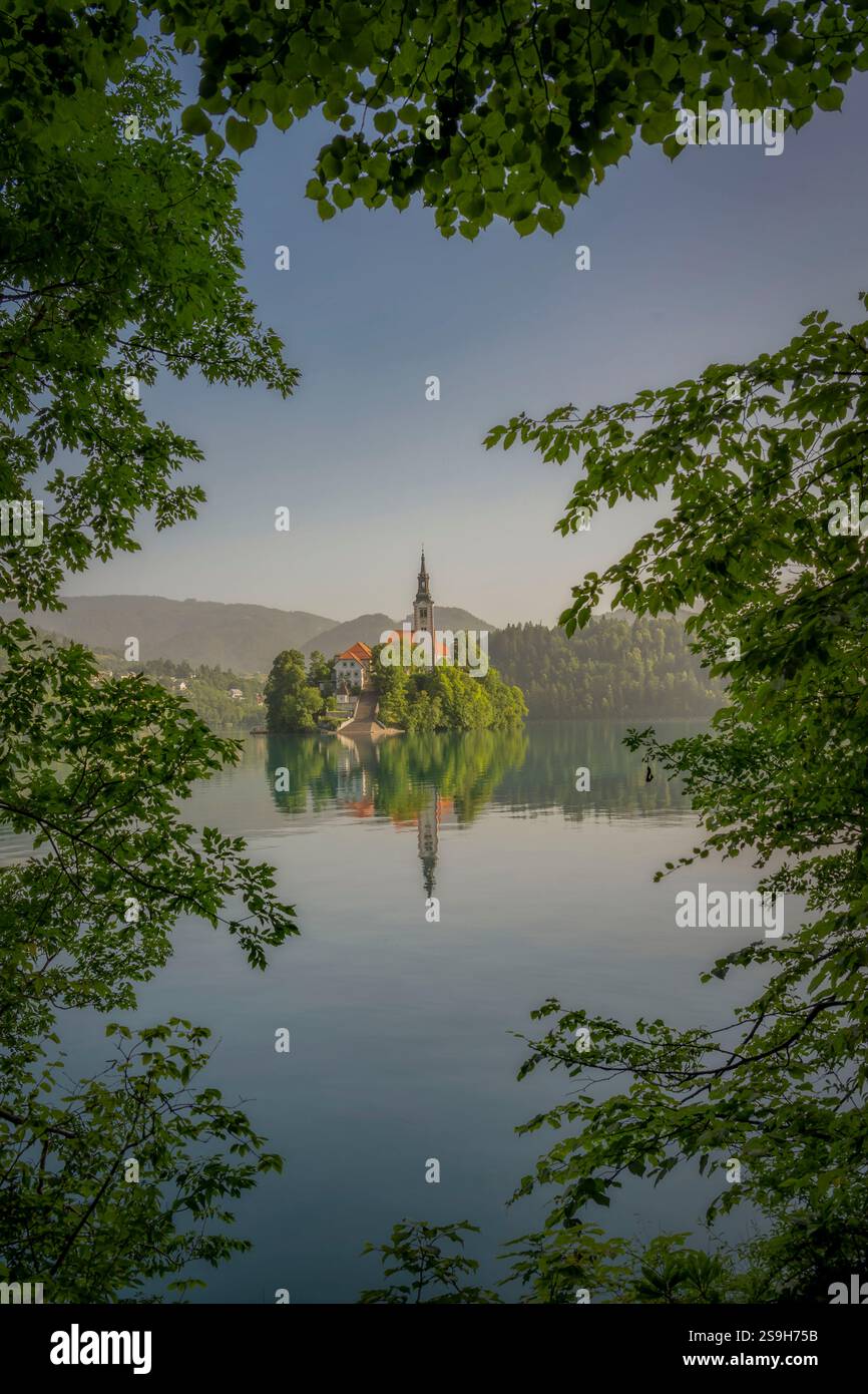 Lake Bled during golden hour sunrise with reflections Stock Photo - Alamy