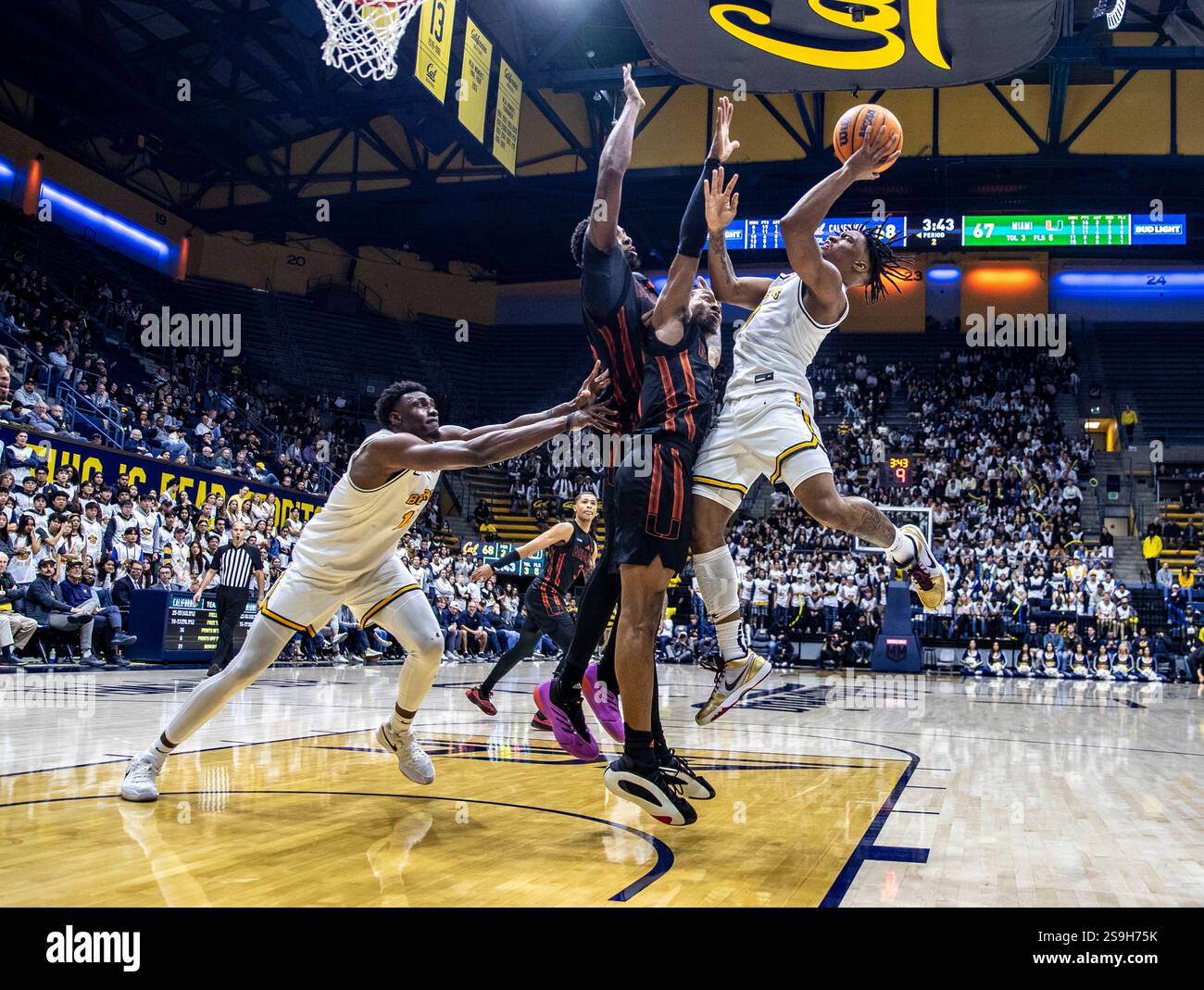 January 25 2025 Berkeley, CA U.S.A. California guard Jeremiah Wilkinson ...