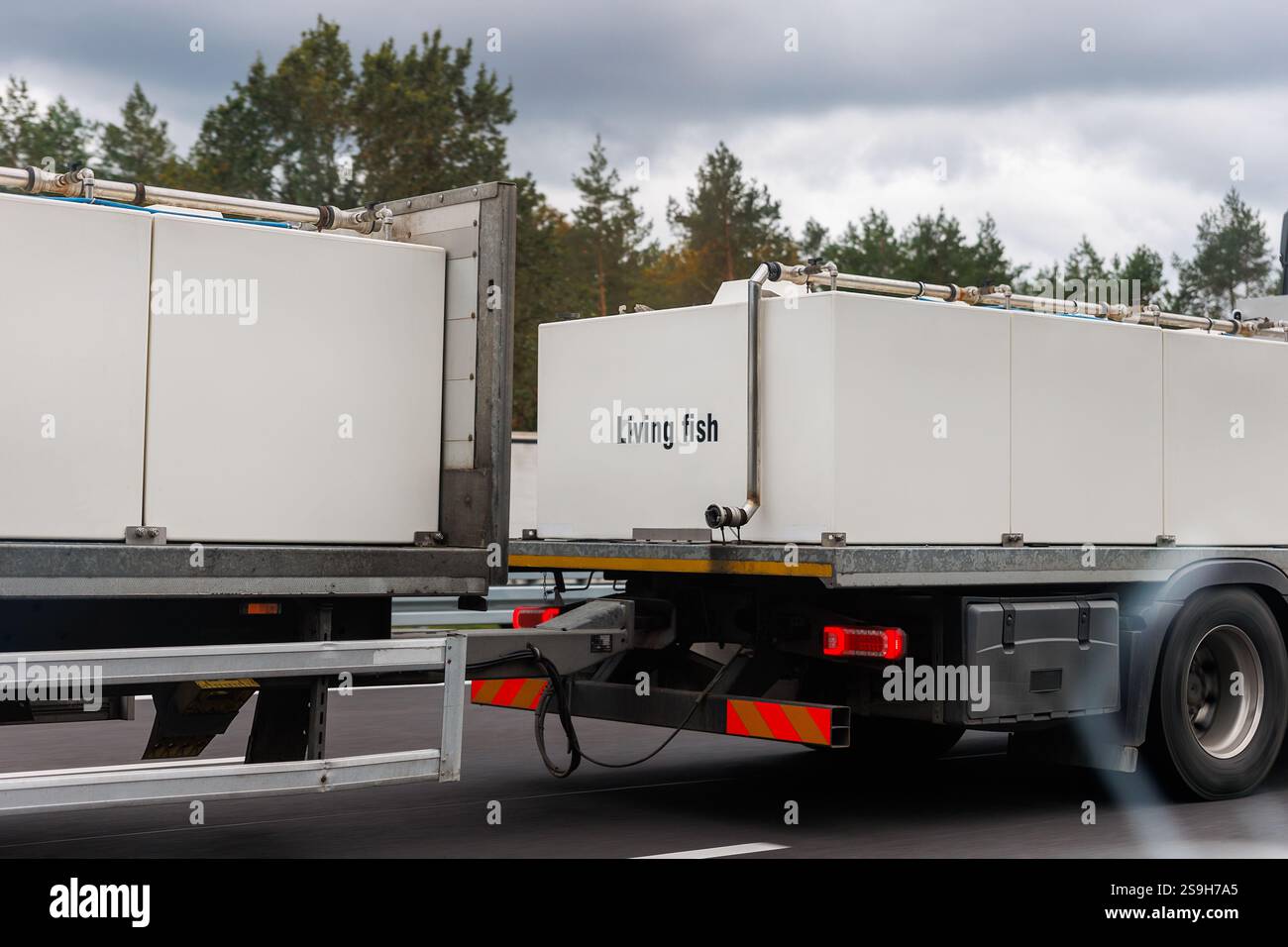 Truck carrying live fish big white tanks highway with forest background ...