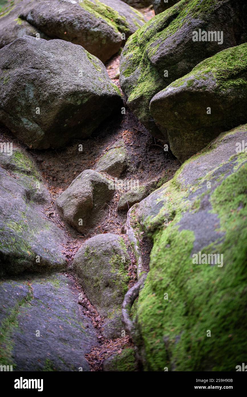 Magurski national park hi-res stock photography and images - Alamy