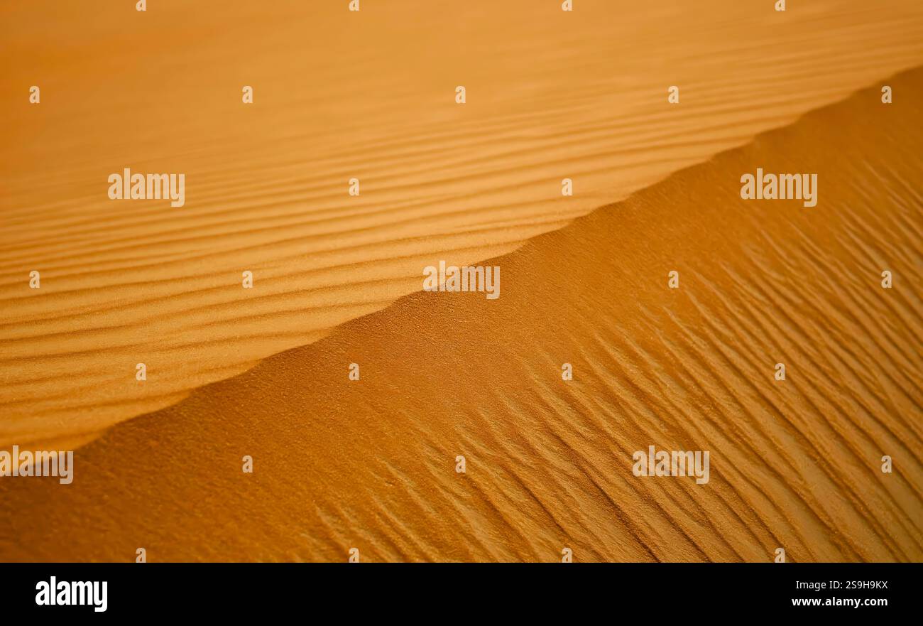 Mesmerizing view of sand dunes showcasing natural textures and rhythmic ...