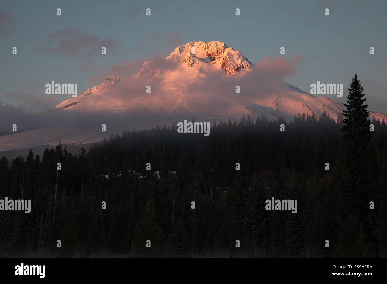 OR02831-00...OREGON - Winter sunset on Mount Hood, tallest mountain in ...