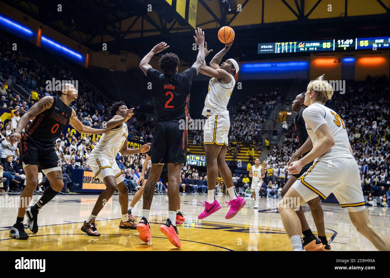 January 25 2025 Berkeley, CA U.S.A. California forward Lee Dort (34 ...