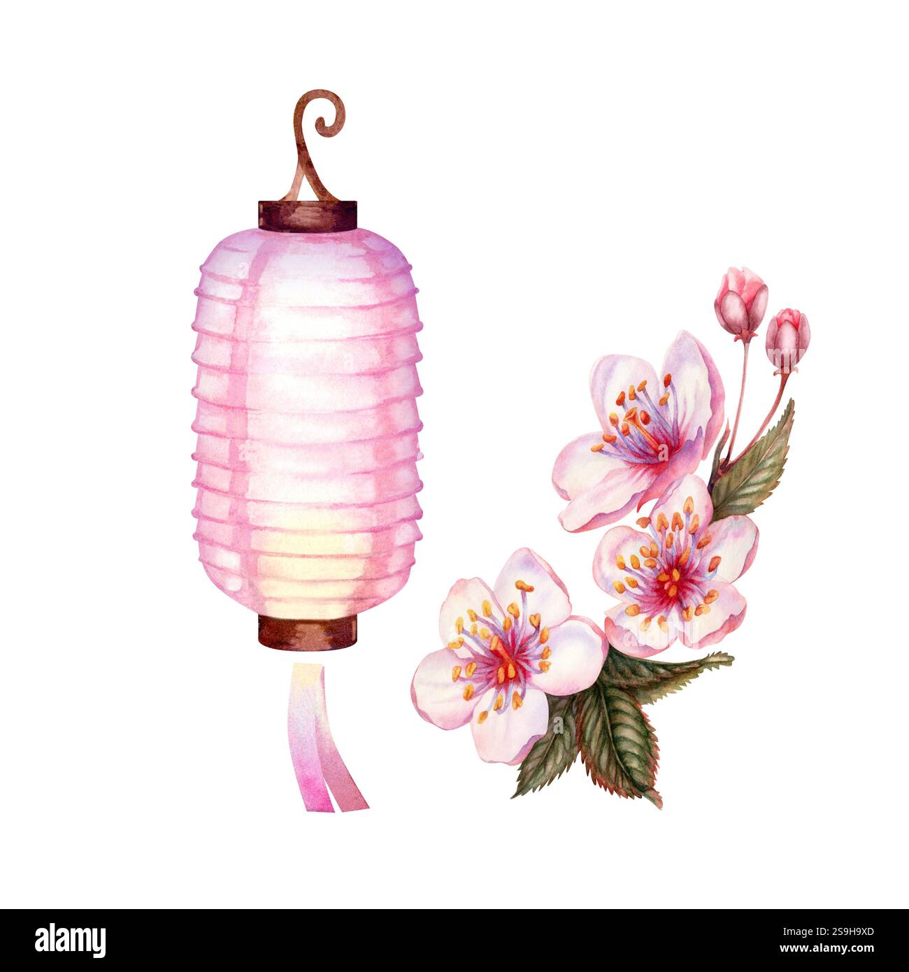 Paper lantern, cherry blossom for celebrating the Japanese Hanami ...