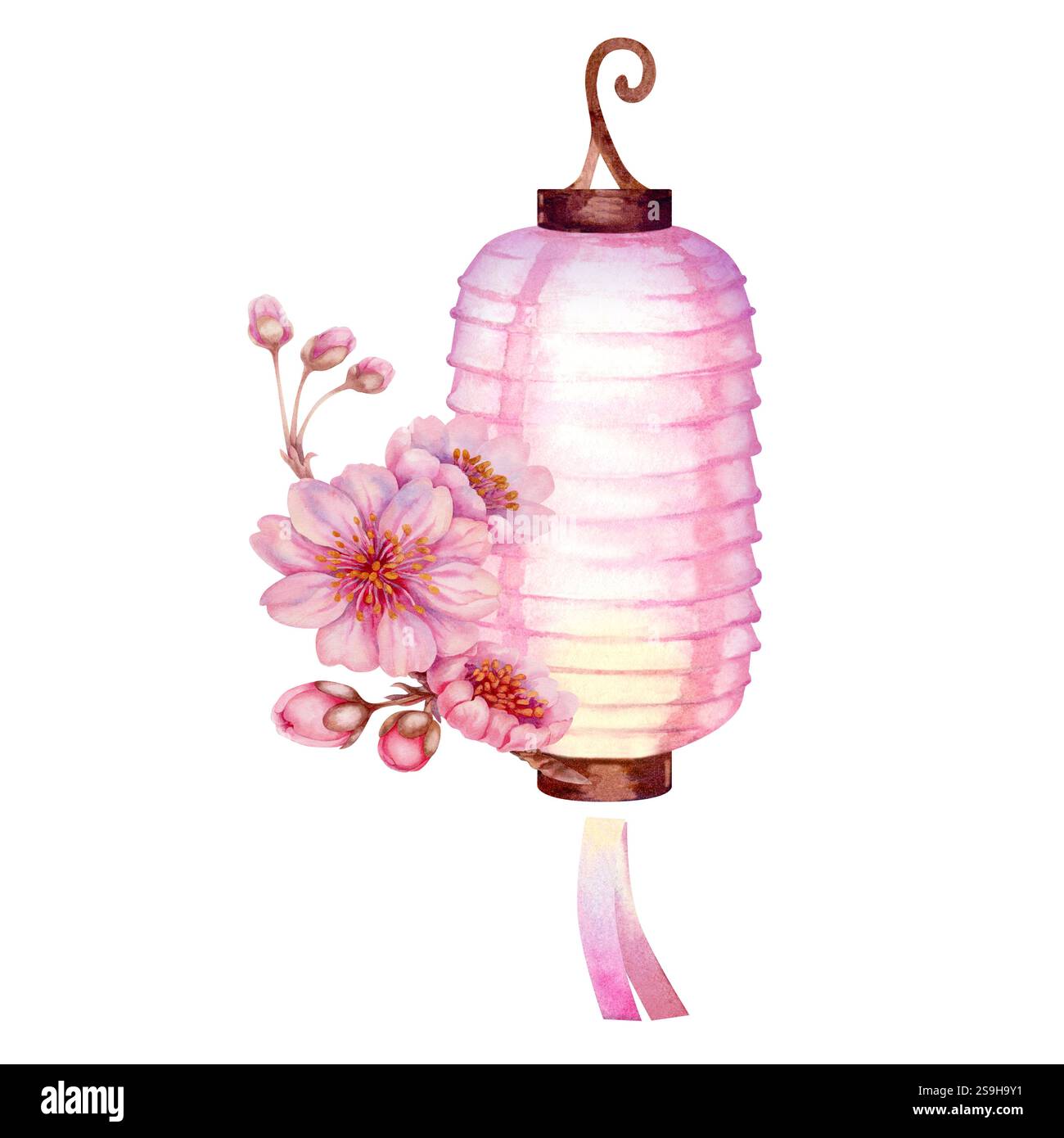 Paper lantern, cherry blossom for celebrating the Japanese Hanami ...