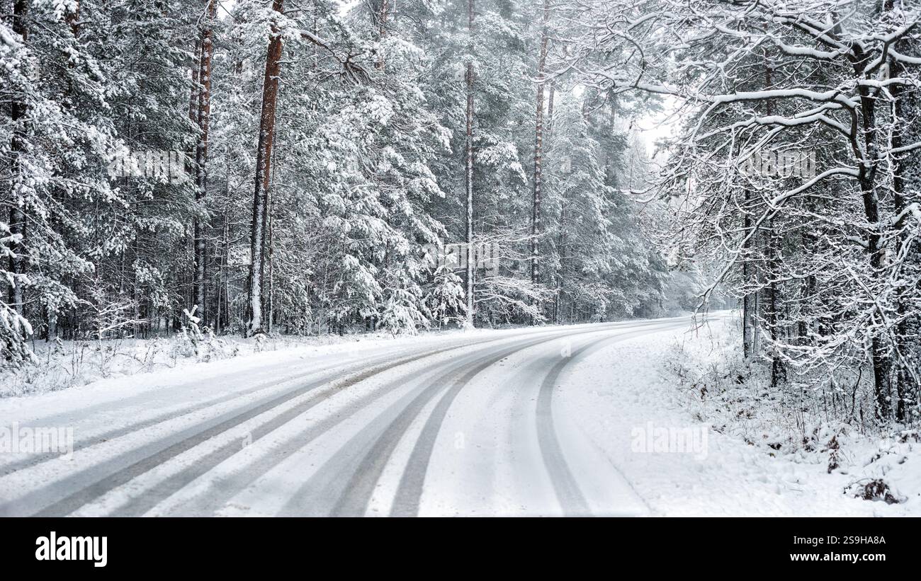 Heavy snow on forest trees and snowy road. Car driving first person ...
