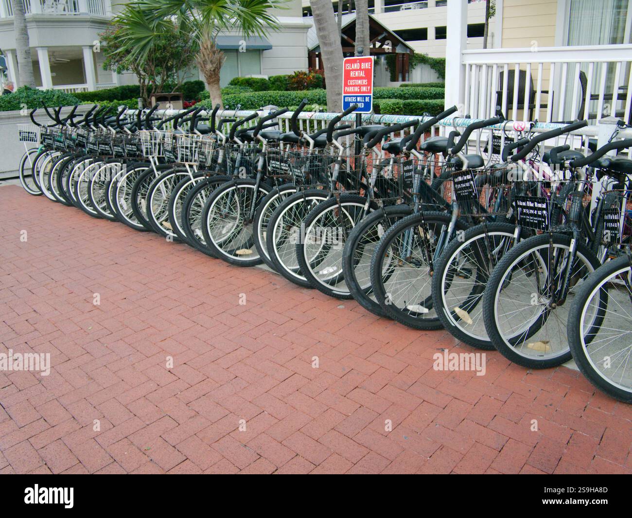Editorial Use Only. Key West, Florida, USA, January 20, 2025. Multiple ...