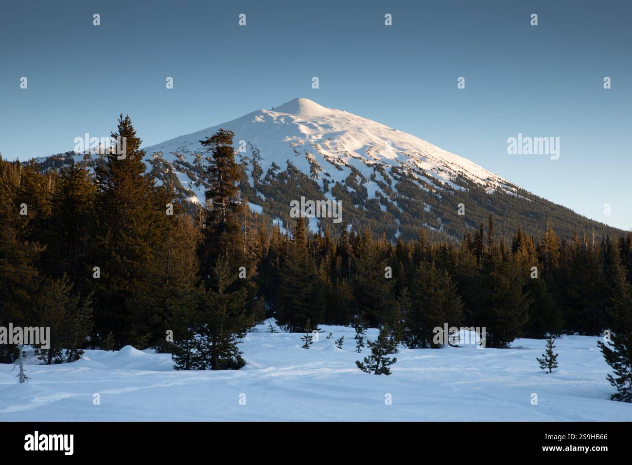 OR02842-00...OREGON - Mount Bachelor in the late afternoon from the ...