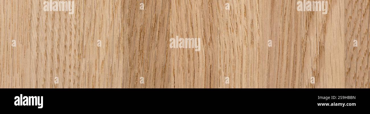 Natural European oak veneer showcasing beautiful wood grain Stock Photo ...