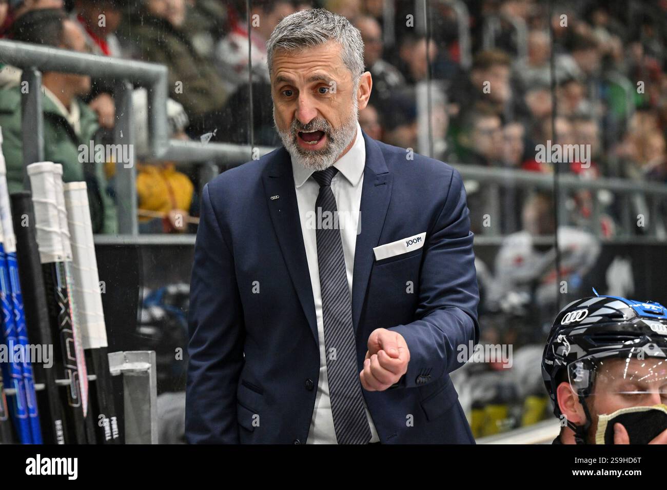 Im Bild Mark FRENCH Headcoach ERC Ingolstadt / Freisteller / Einzelfoto ...