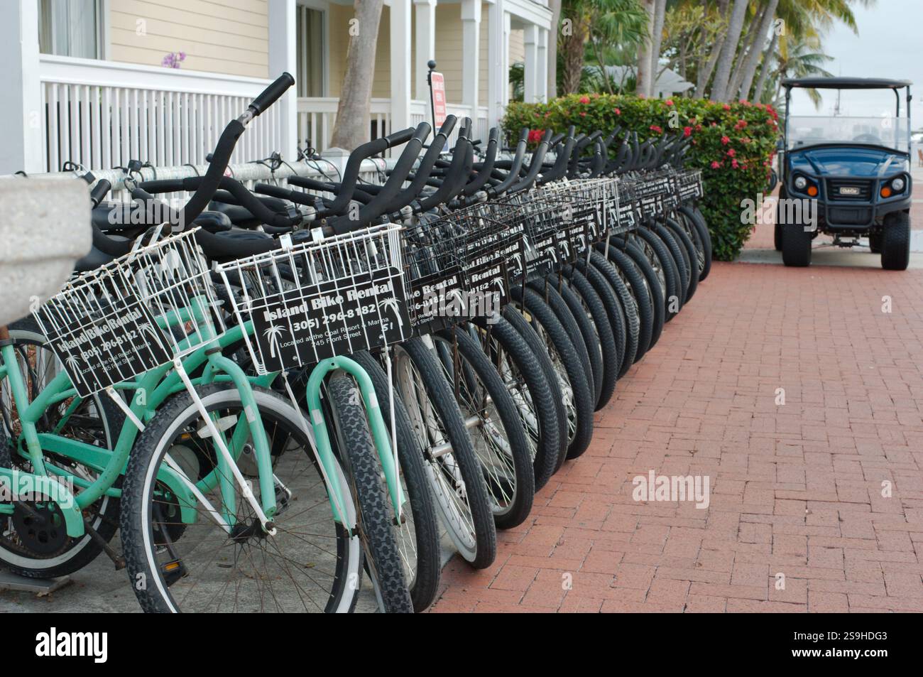 Editorial Use Only. Key West, Florida, USA, January 20, 2025. Multiple ...