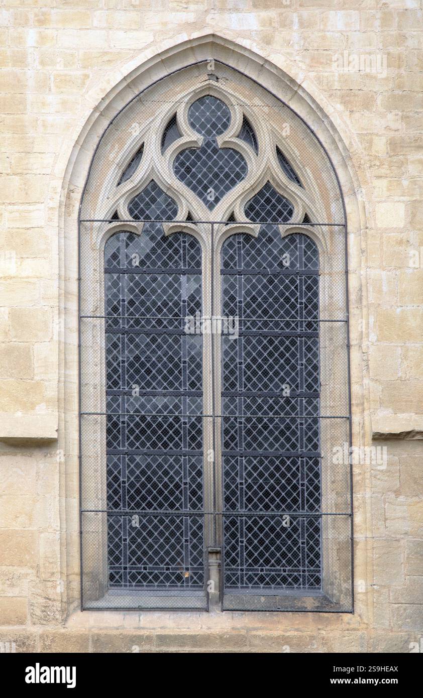 Ornamented window of a cathedral in gothic style Stock Photo - Alamy