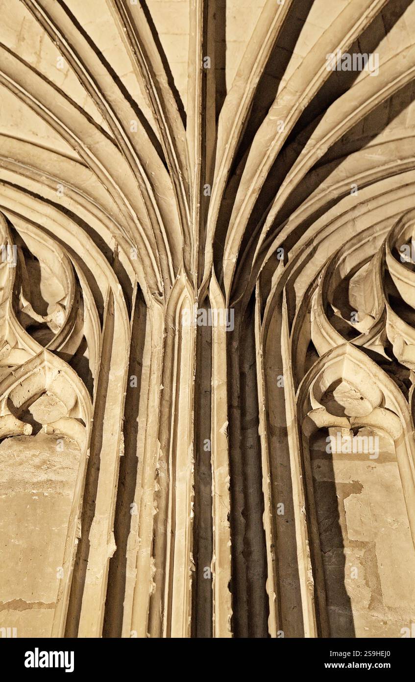 Discover the stunning gothic craftsmanship of Sainte-Secile cathedral's ...