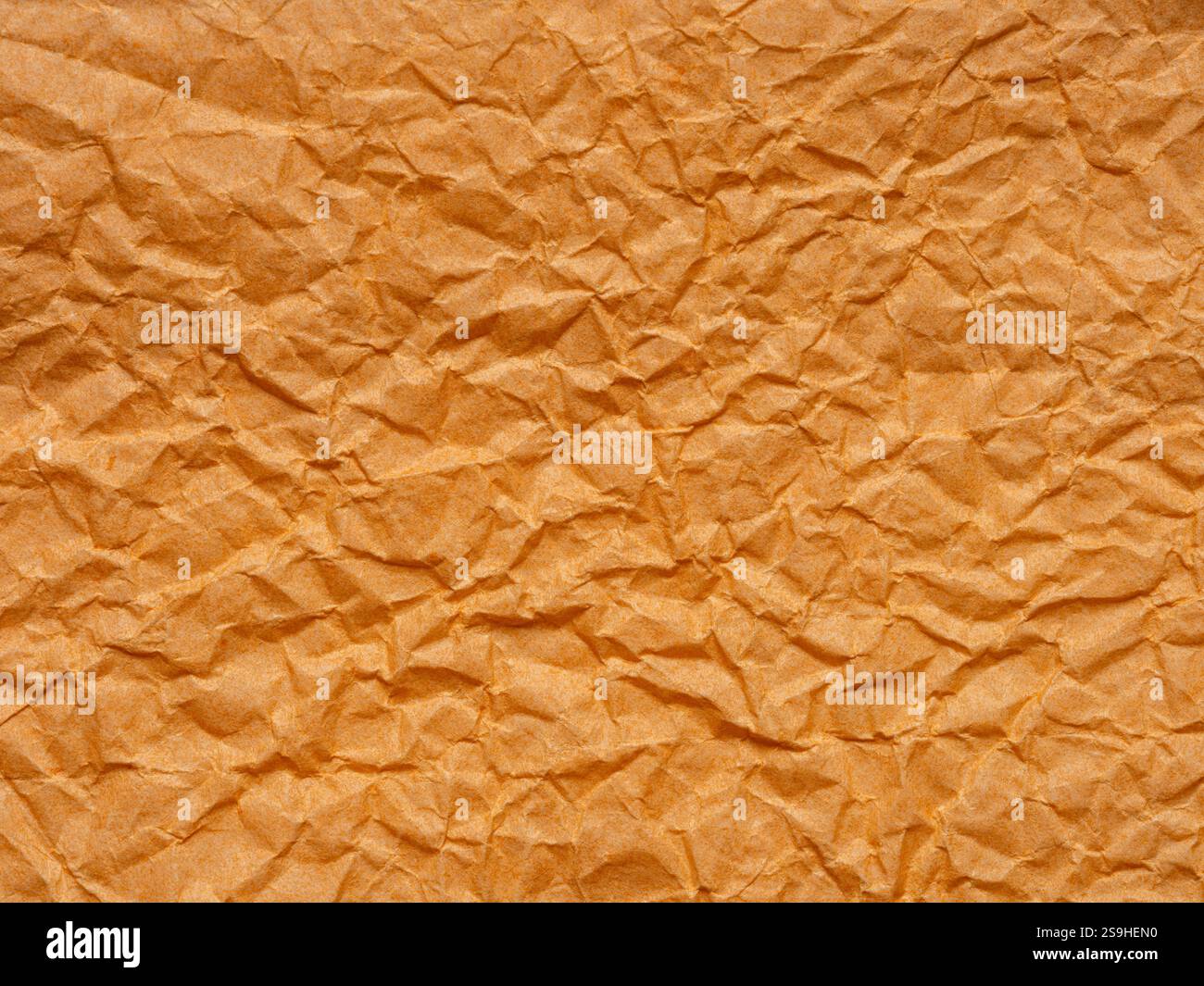 An amber terrain of textured folds, echoing the warmth and timeless ...