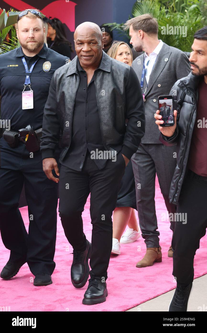HALLANDALE, FLORIDA - JANUARY 25: Mike Tyson attends Pegasus World Cup ...