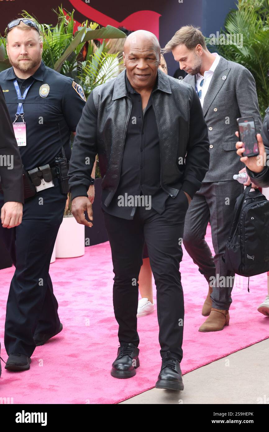 HALLANDALE, FLORIDA - JANUARY 25: Mike Tyson attends Pegasus World Cup ...