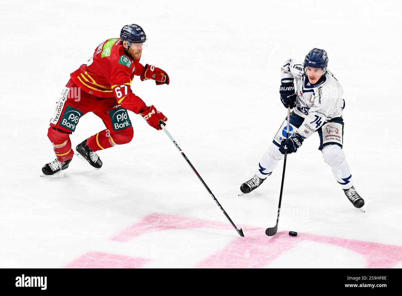 Eishockey DEL - 24/25 - 40. Spieltag: Düsseldorfer EG vs Straubing ...