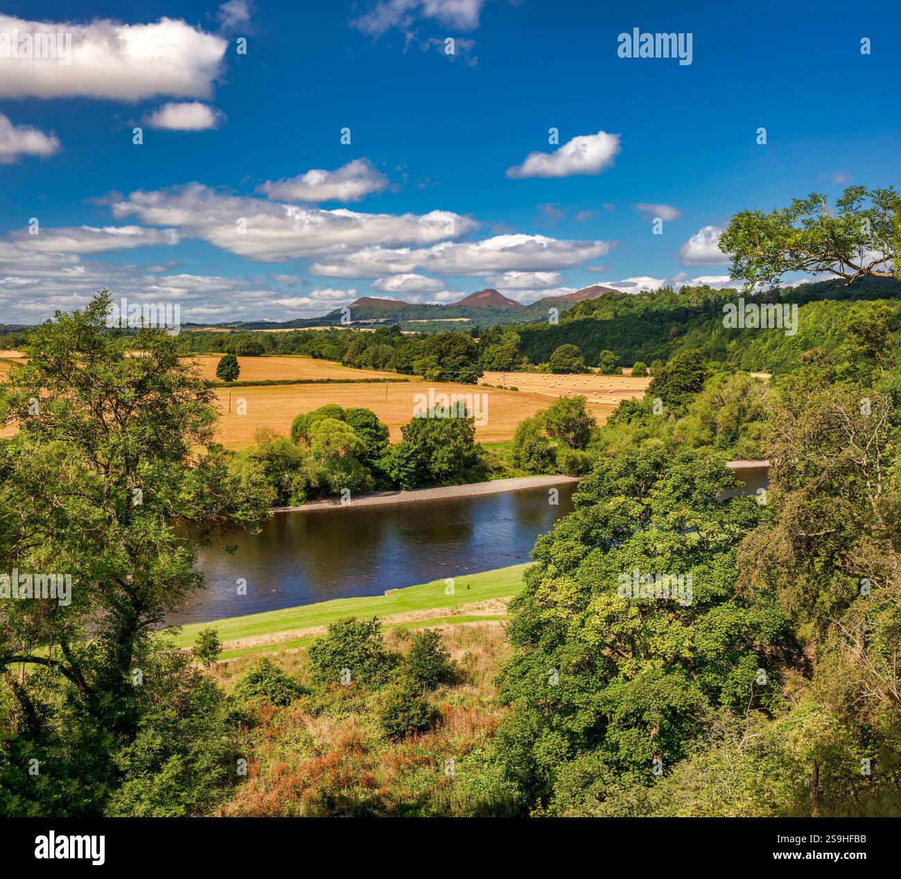 A view in Summer of the Eildon Hills in the Scottish Borders viewed ...