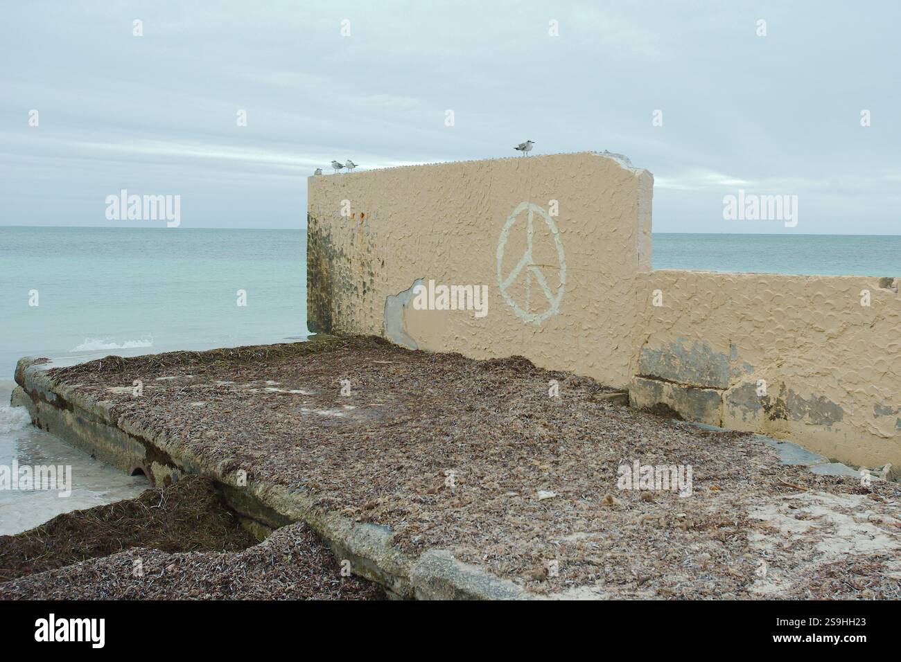 Leading line seaweed on boat ramp to the ocean horizon. Peace sign ...