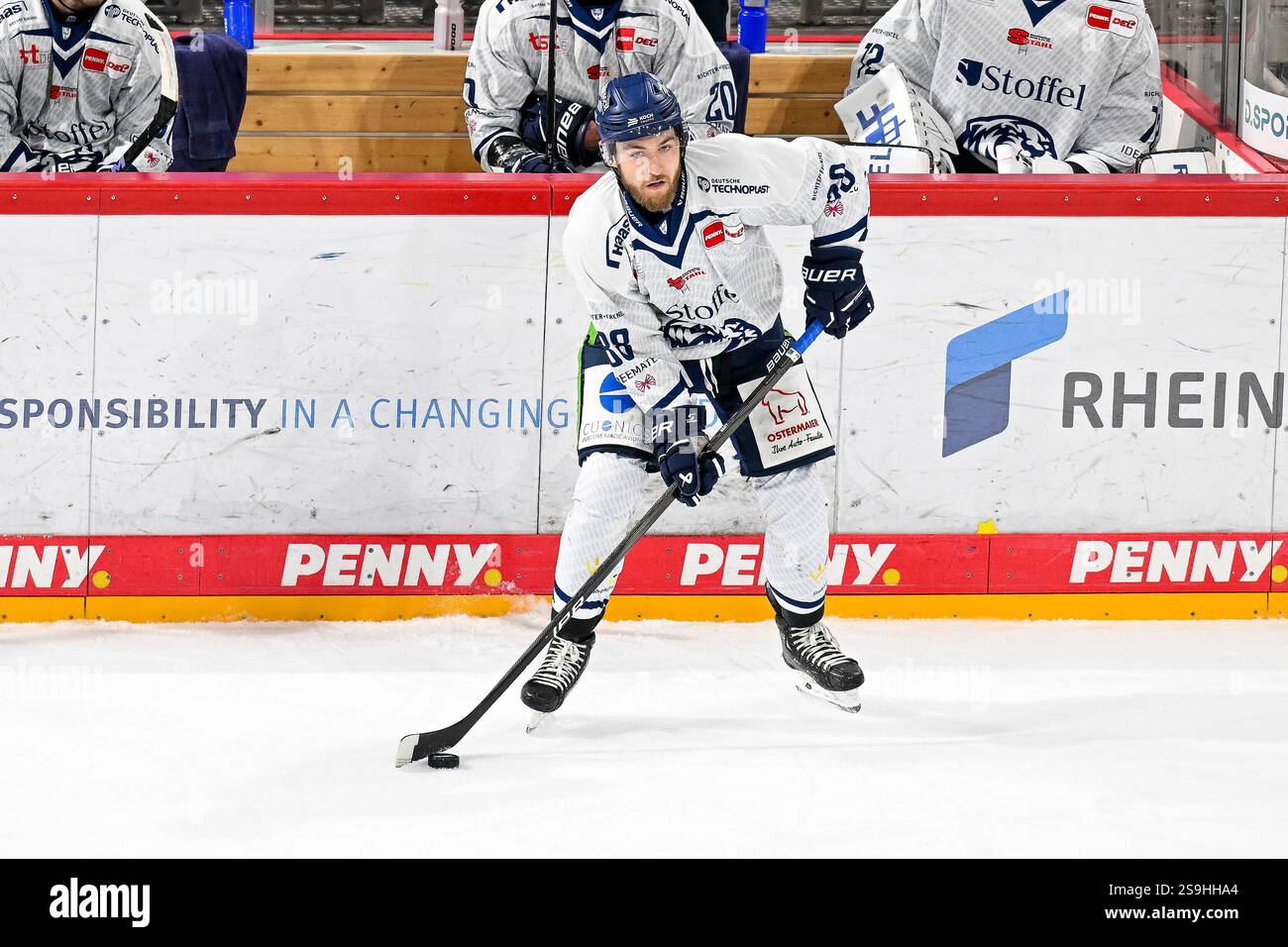 Eishockey DEL - 24/25 - 40. Spieltag: Düsseldorfer EG vs Straubing ...