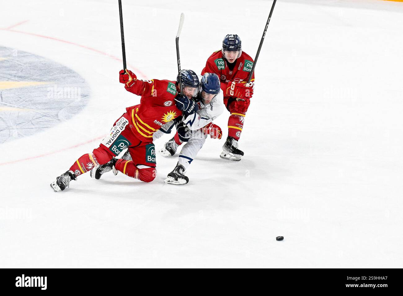 Eishockey DEL - 24/25 - 40. Spieltag: Düsseldorfer EG vs Straubing ...