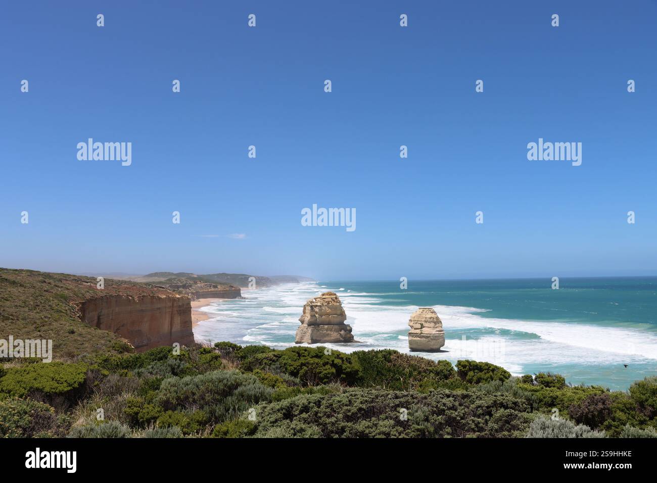 White gog hi-res stock photography and images - Alamy
