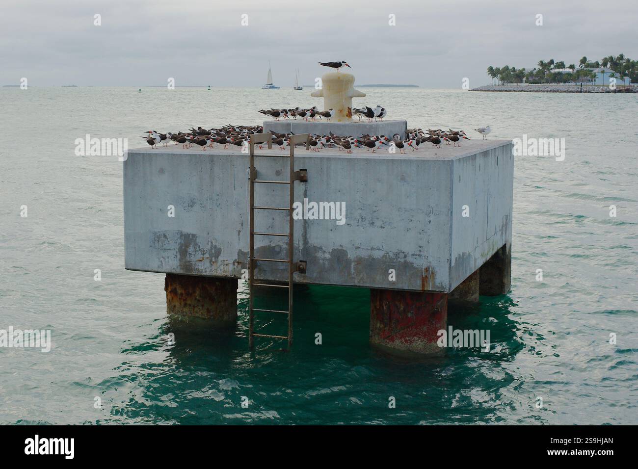 Large concrete mooring dolphin hi-res stock photography and images - Alamy