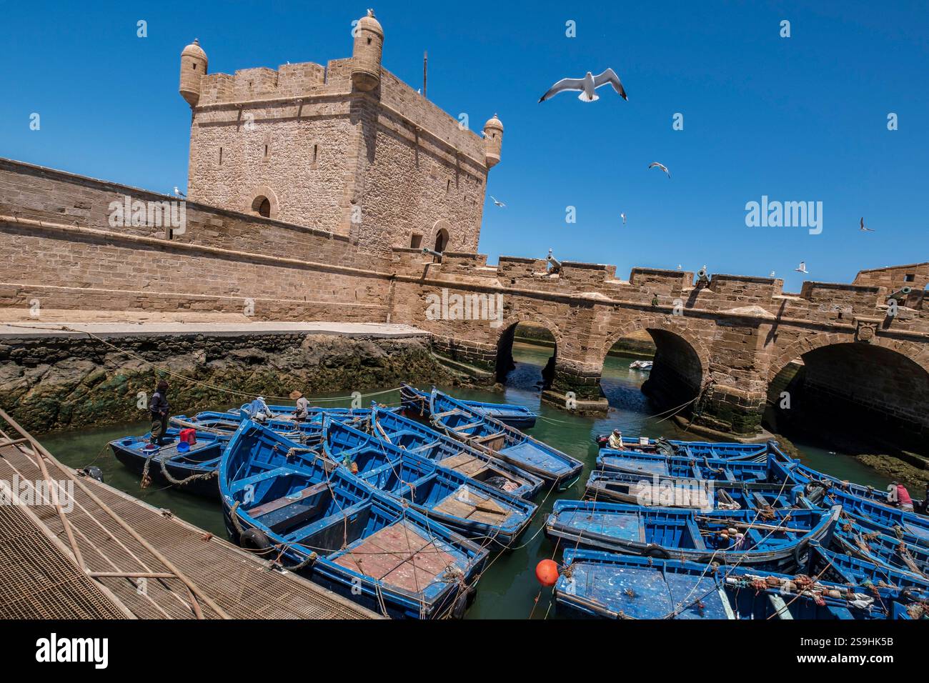 Castelo Real at fishing port, old portuguese fortress, Essaouira ...