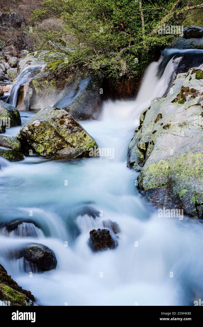 waterfalls, nature reserve of the Garganta de los Infiernos, Tormantos ...