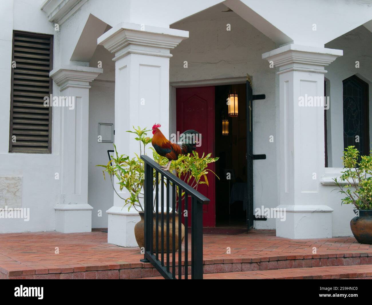 ST PAUL'S EPISCOPAL CHURCH red rooster sitting on black handrail ...