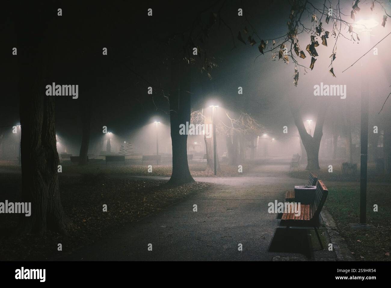 Dramatic scenes, cinematic atmosphere of a park during a foggy night ...