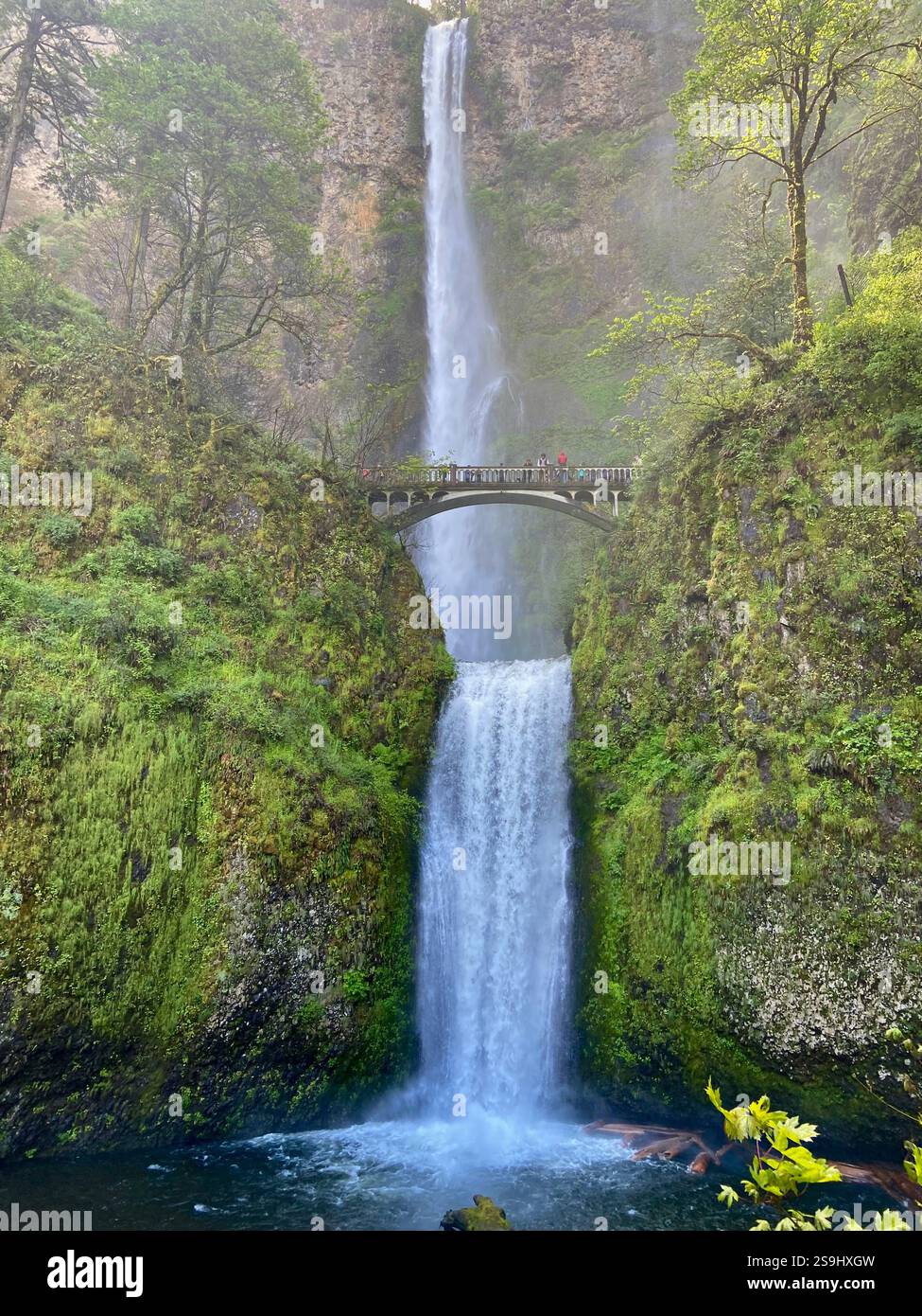 Columbia River Gorge Waterfall Stock Photo - Alamy