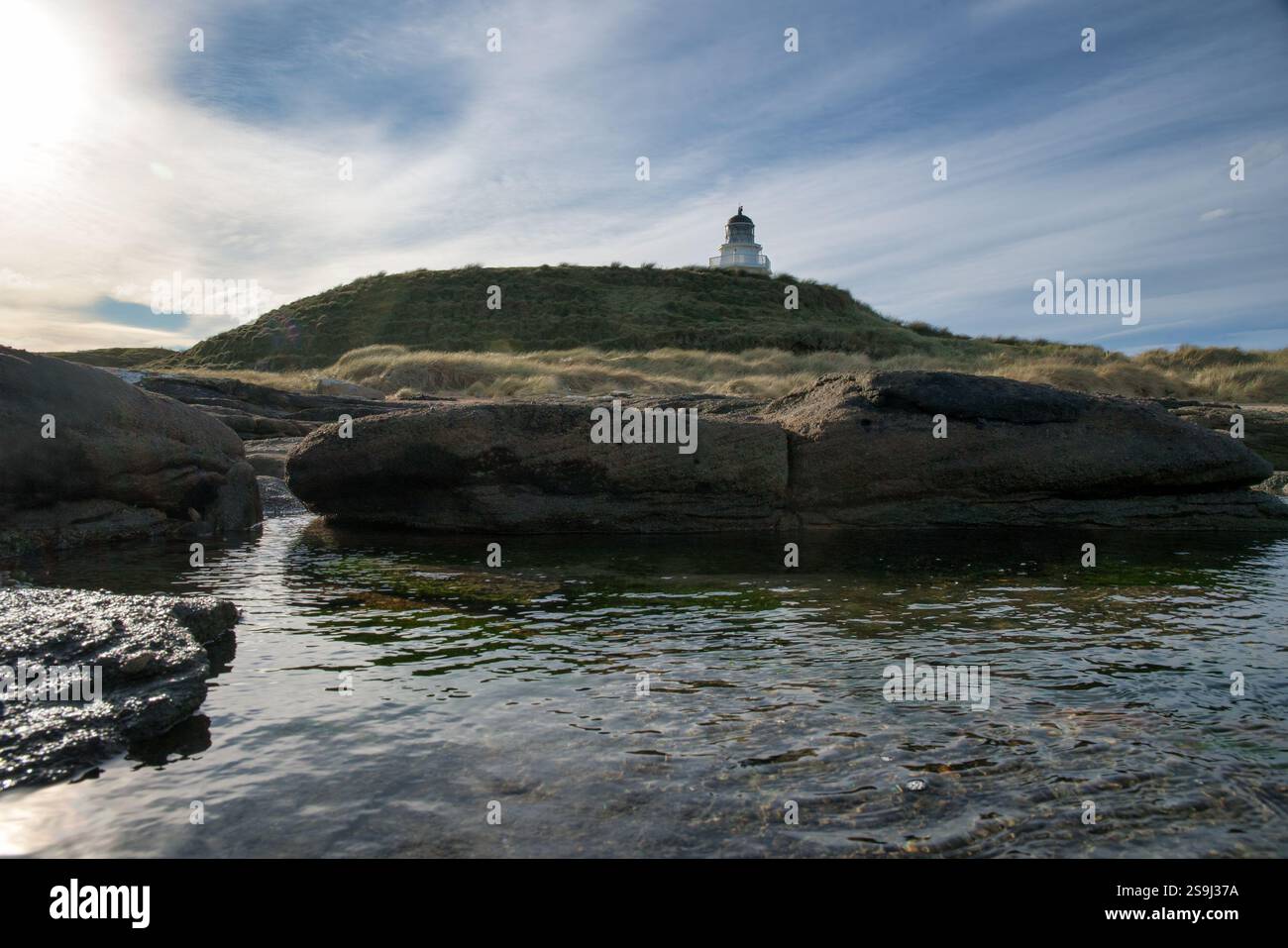 The iconic Waipapa Point Lighthouse emerging above the tussock covered ...