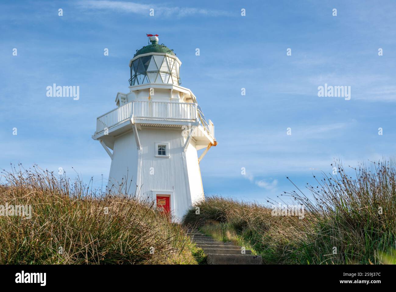 The iconic Waipapa Point Lighthouse emerging above the tussock covered ...