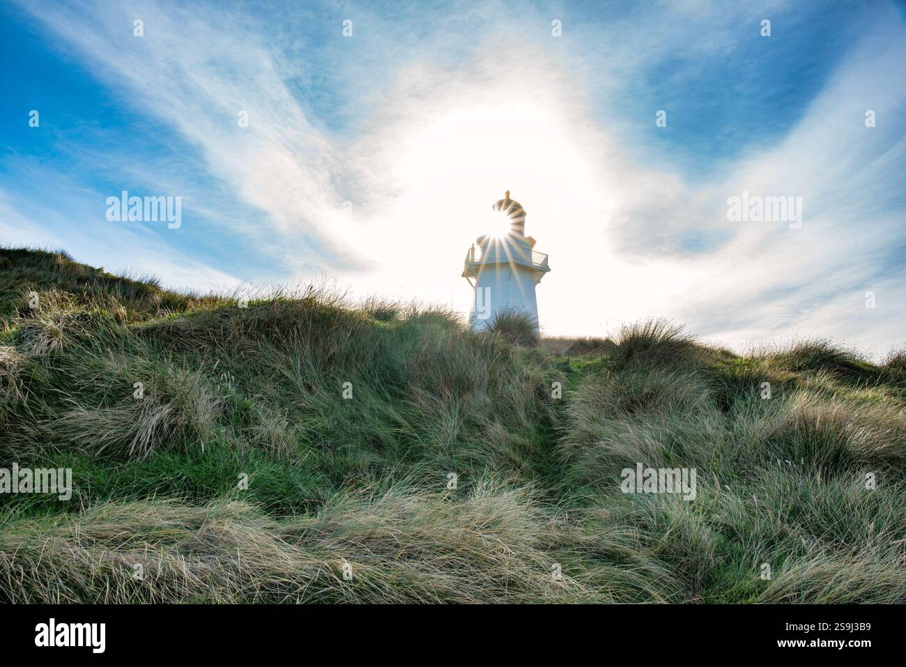 The iconic Waipapa Point Lighthouse emerging above the tussock covered ...