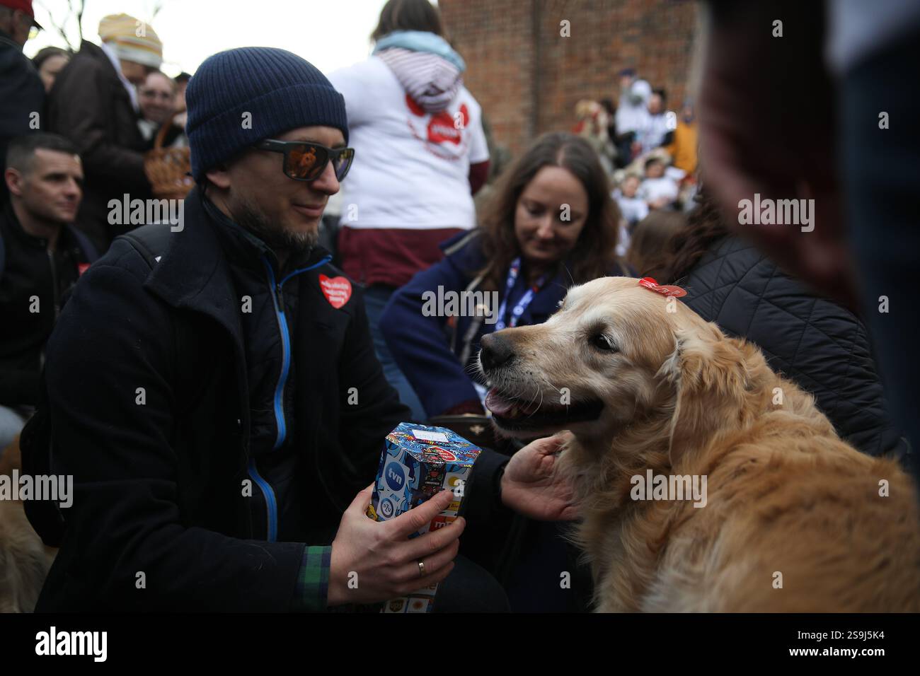 A group of Krakow Golden Retrievers supports the Great Orchestra of ...