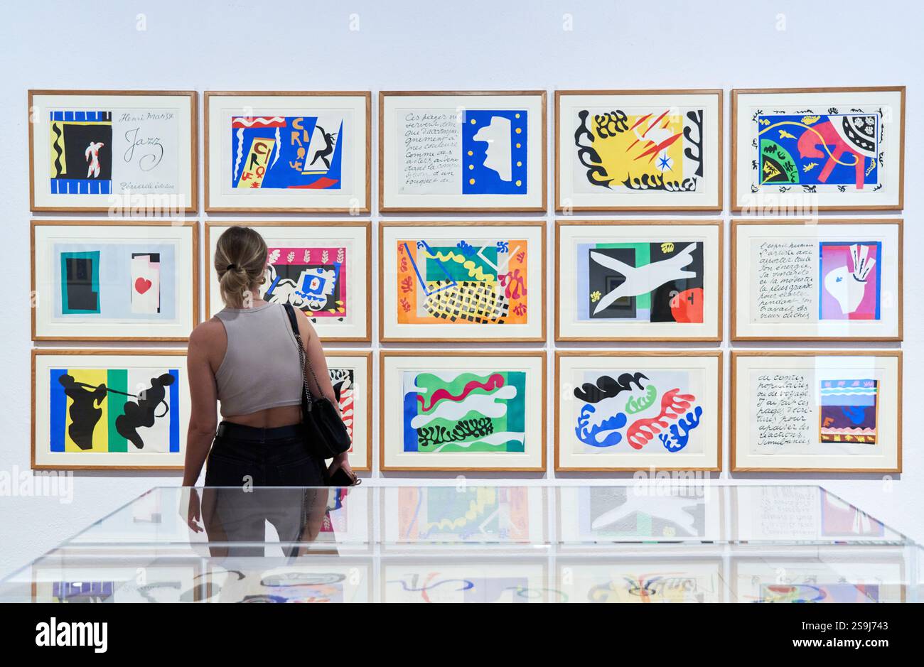 Museo matisse hi-res stock photography and images - Alamy