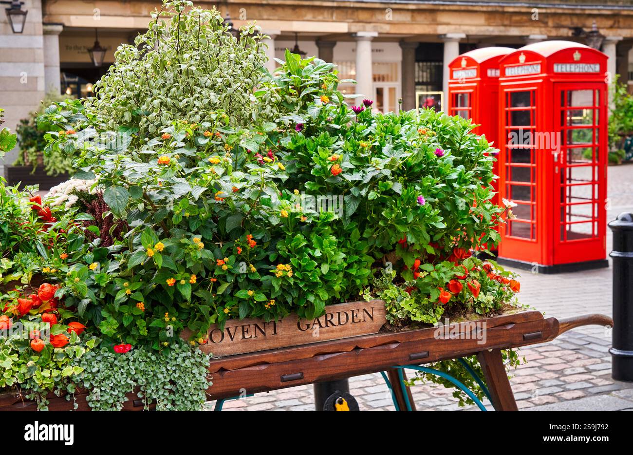 Cart with flowers and plants, The Covent Garden Market, London, England ...
