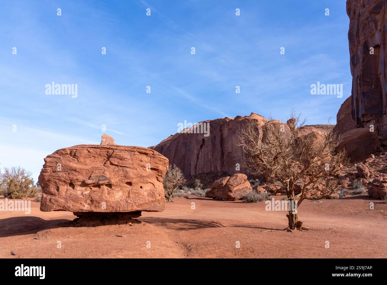 A Tree and a Sandstone Rock Pillar in Monument Valley Arizona Navajo ...