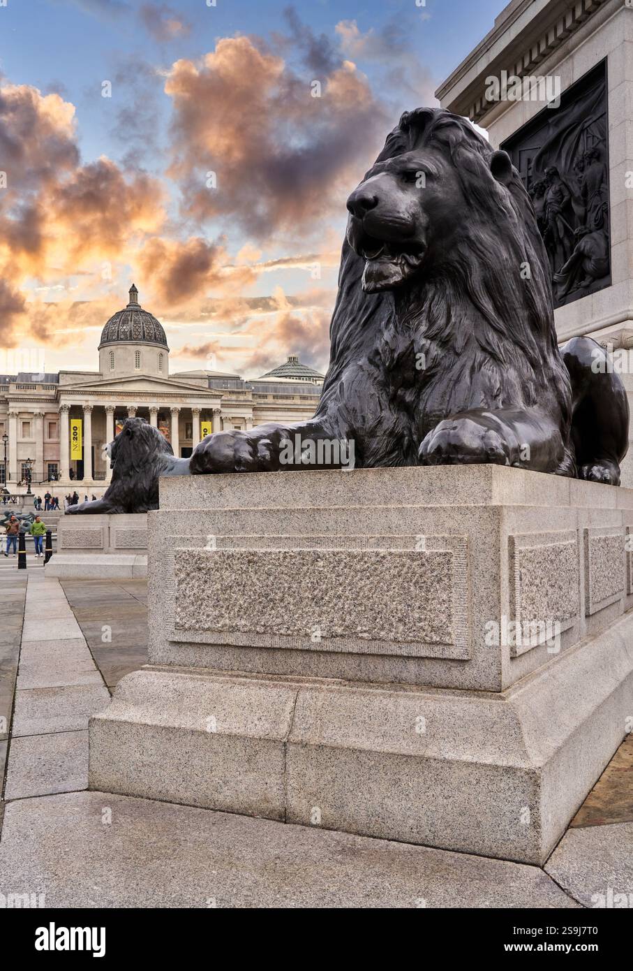 Lion Statue, Trafalgar Square, National Gallery, West End, London ...