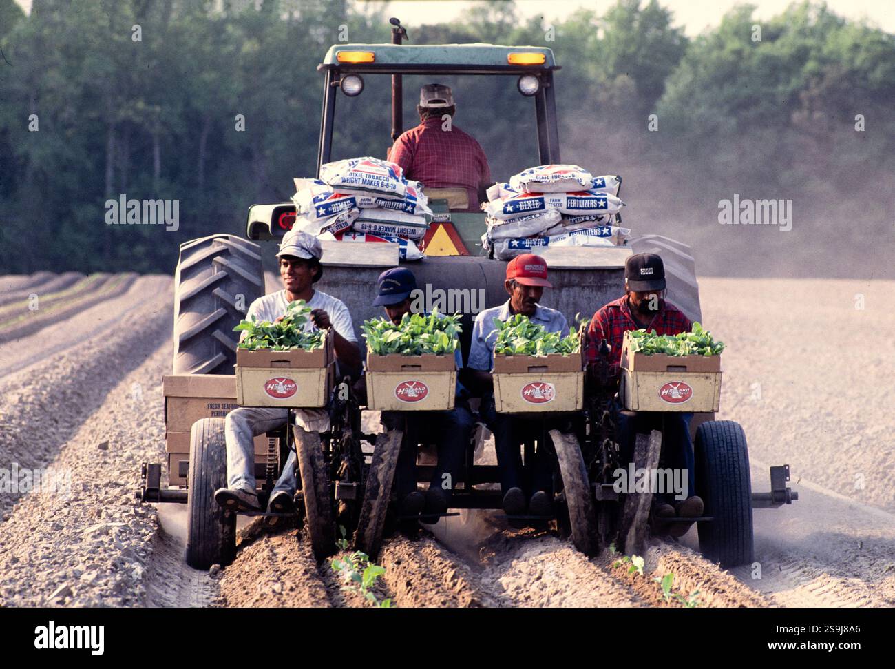 25 january 2025 north hi-res stock photography and images - Alamy