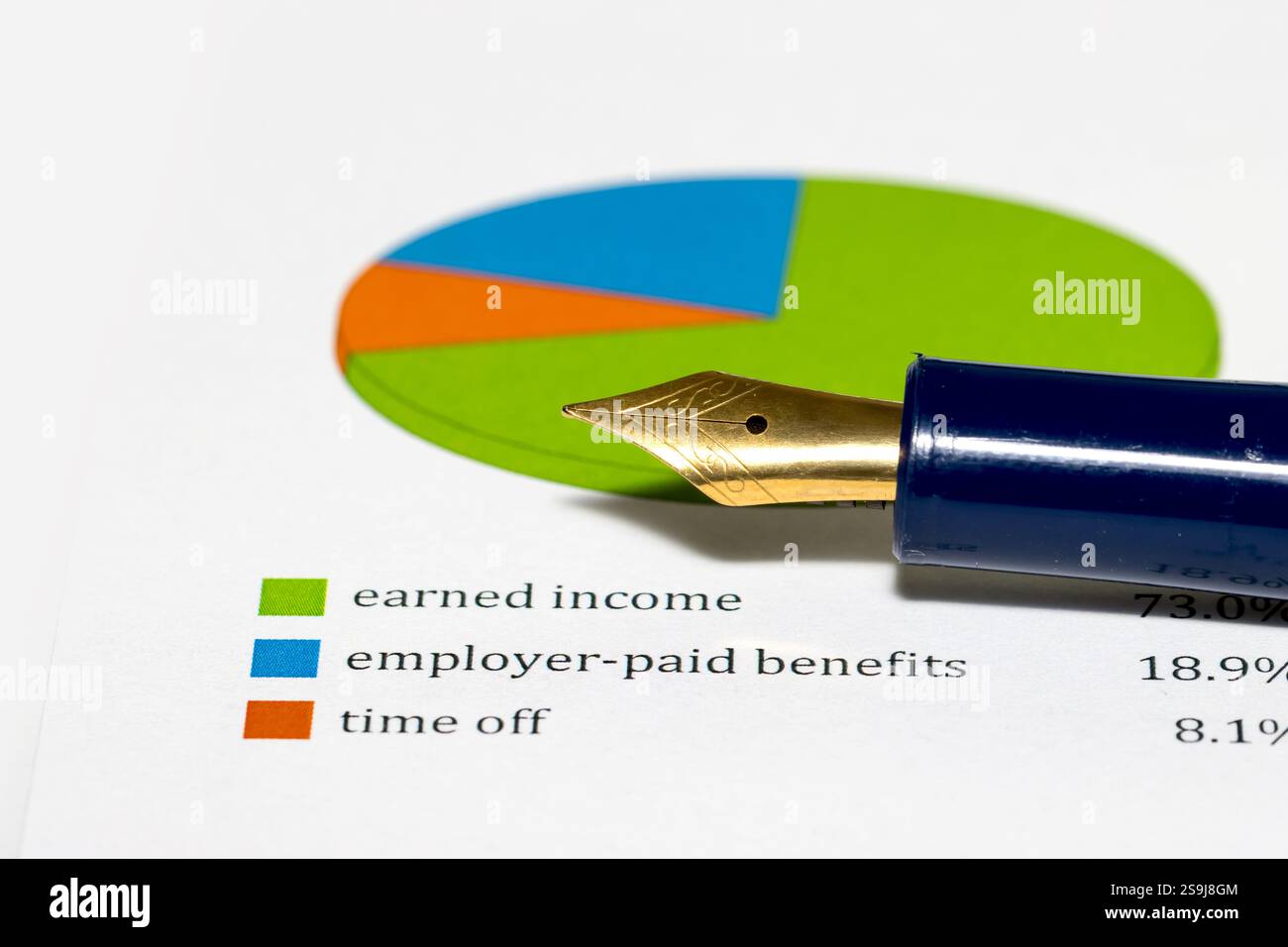 Close up shot of golden pen tip on a pie chart showing annual income ...