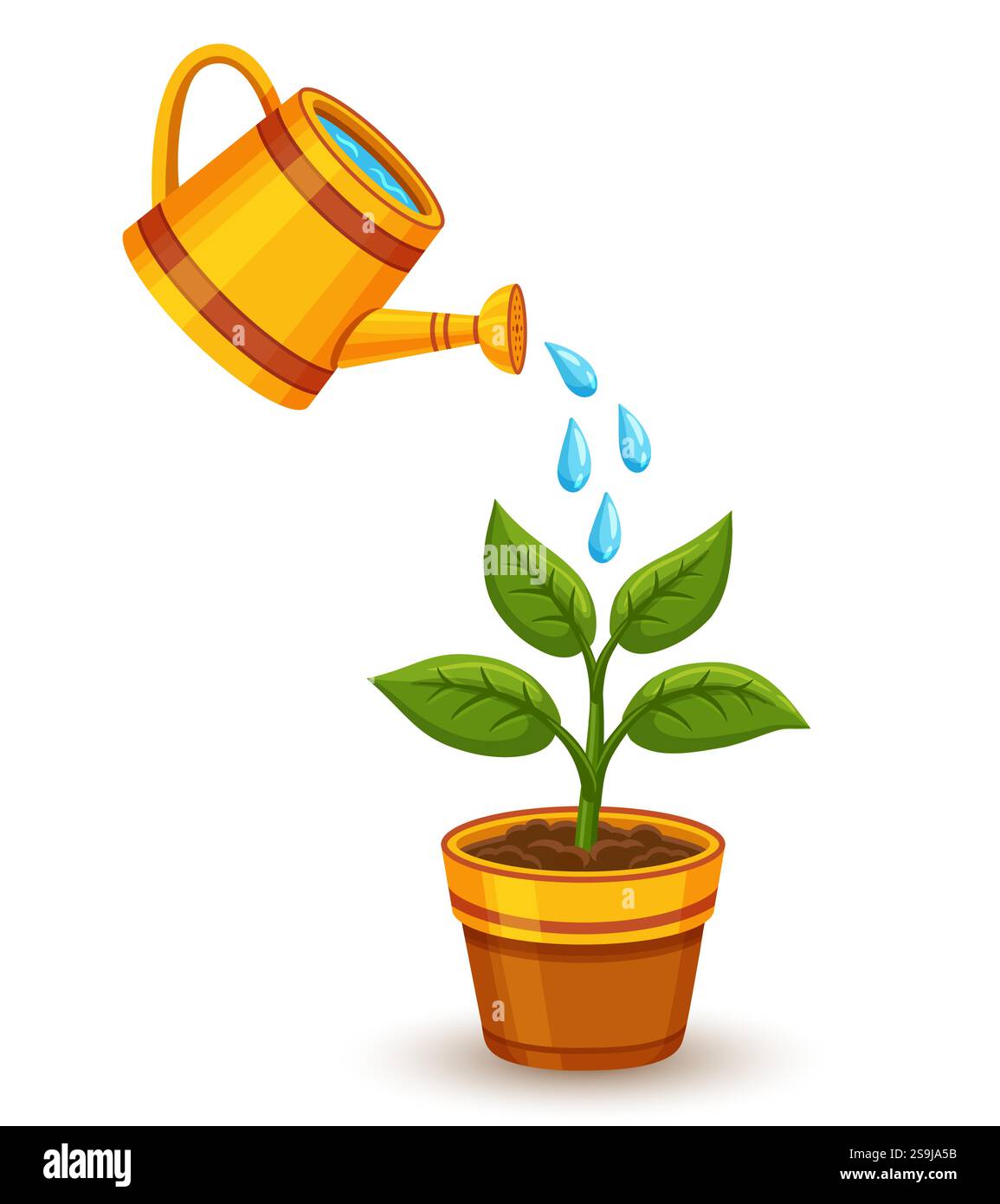 Vegetable plant growth Stock Vector Images - Alamy