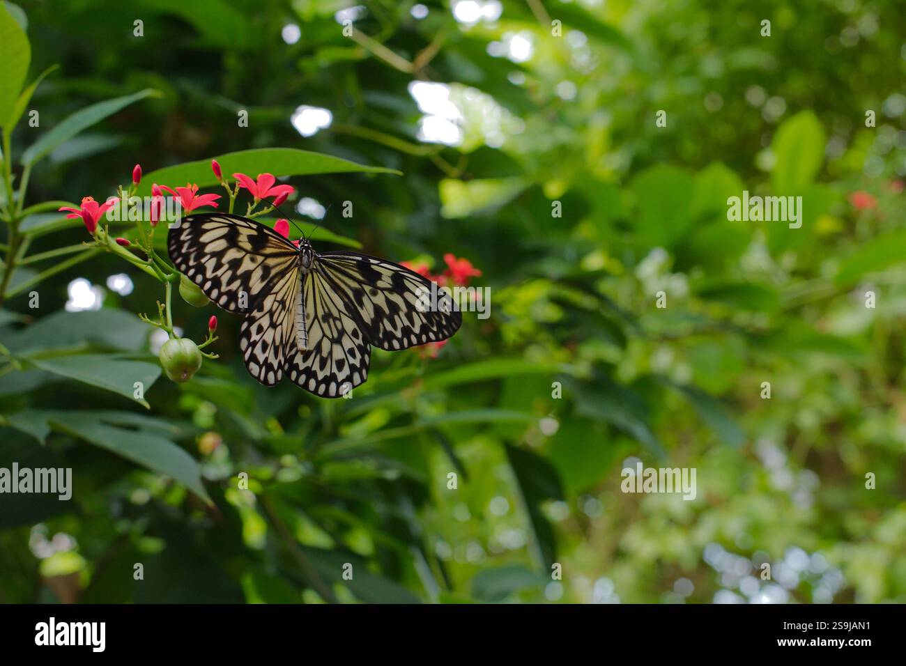 Sunny tint hi-res stock photography and images - Alamy
