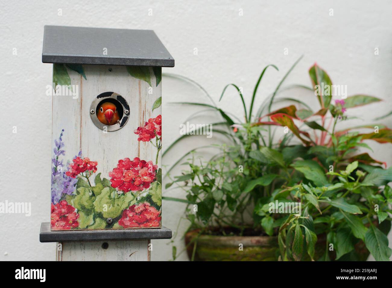 Gray roofed white birdhouse with floral designs on the front. Orange ...