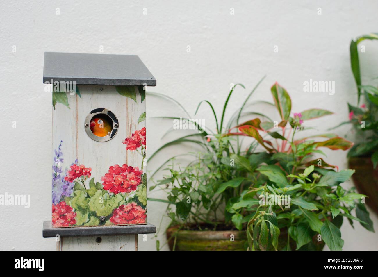 Gray roofed white birdhouse with floral designs on the front. Orange ...