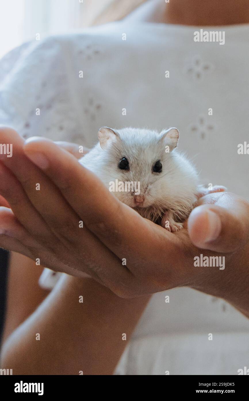 A joyful smile lights up the child's face as she enjoys quality time ...